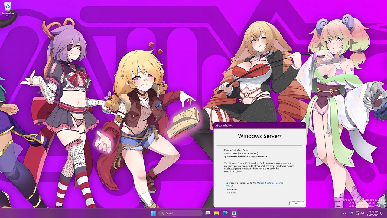 Windows Server 2025 Preview Evaluation Build 26100 - Installation, Overview & Other Things