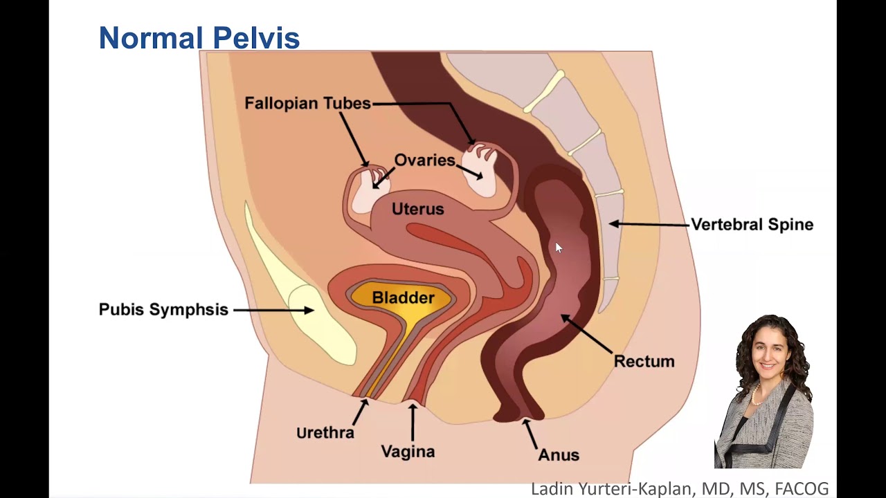 What is Uterine Prolapse, and How is it Treated?