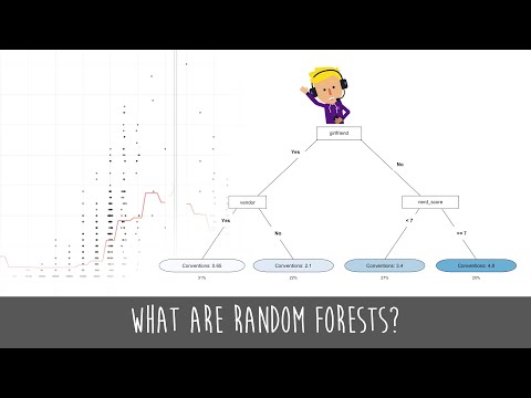 What are Random Forest Models? Simple Explanation