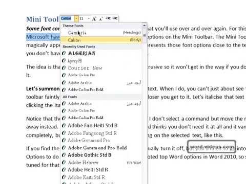 Mini Toolbar In Word 2010