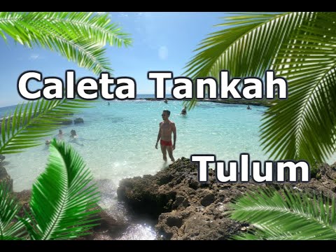 Visitando Caleta Tankah Tulum!