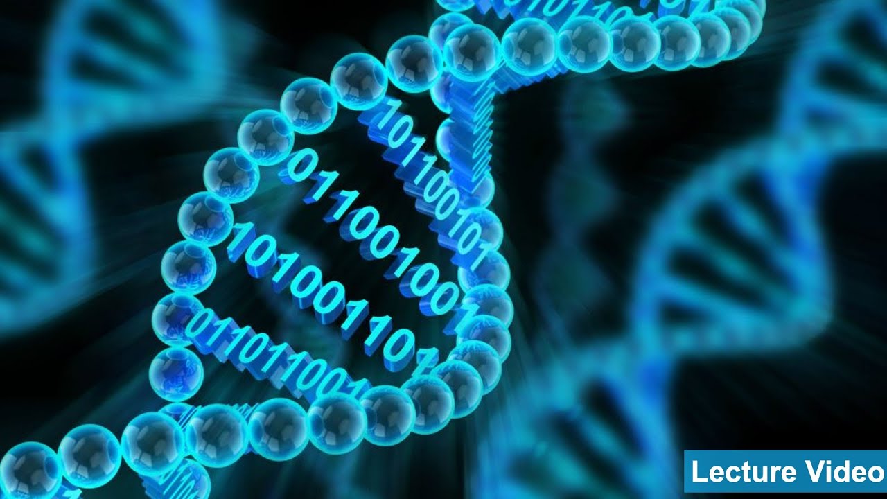 Lecture 2 - Intro to HPC