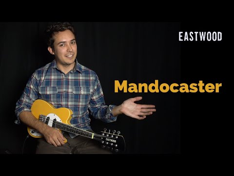Eastwood MANDOCASTER LTD Solid Alder Body Bolt-On Maple Neck | Reverb