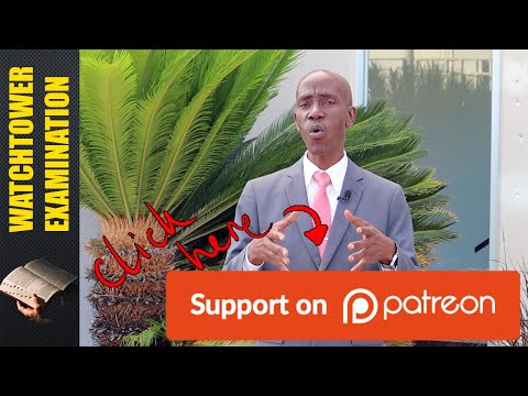 Finally, This Channel Has a Patreon Account