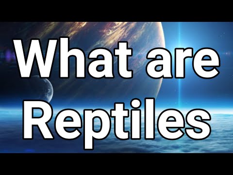 What are Reptiles. Urdu/ English