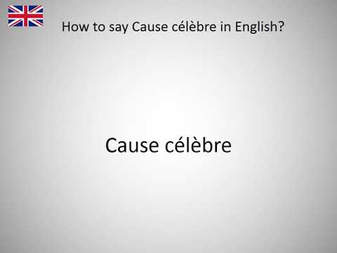 How to say Cause célèbre in English?