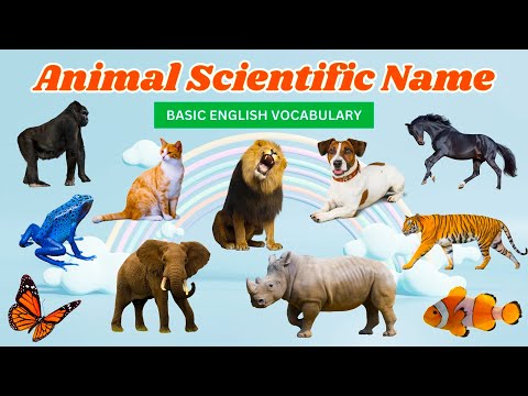 Animal Scientific Name - Scientific Name Of All Animals - Animals And Their Scientific Names