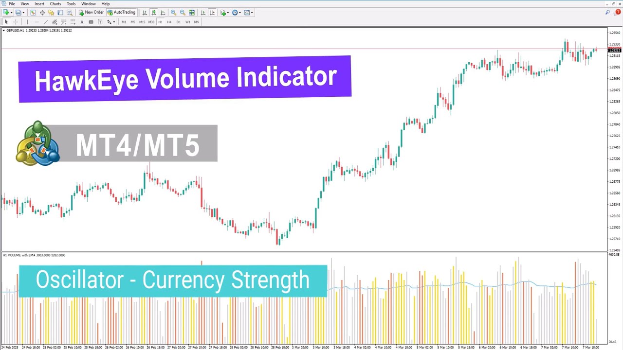 Understanding the HawkEye Volume Indicator for MT4/5: A Comprehensive Guide | Galaxy.ai
