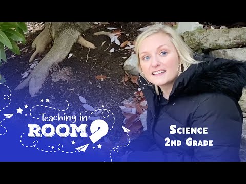 What is a Structure? | 2nd Grade Science | Teaching In Room 9
