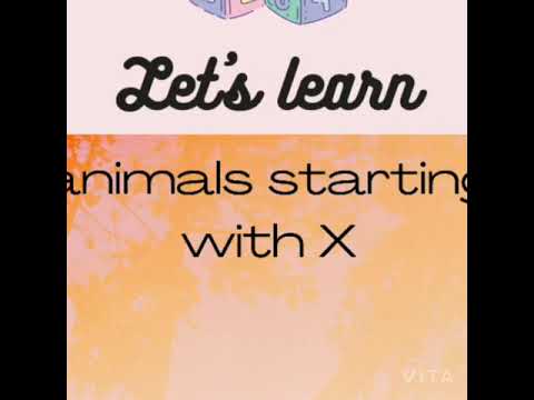 let's learn names of animals starting with X|animal version|learn and fun