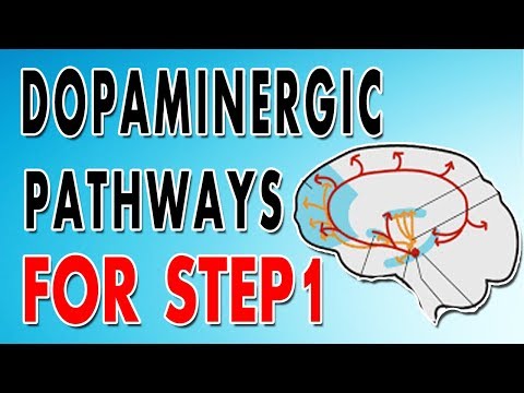 Dopaminergic Pathways