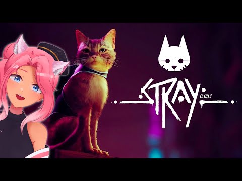 【STRAY #2】to the outside world!