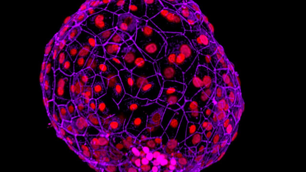 High Performance Computing