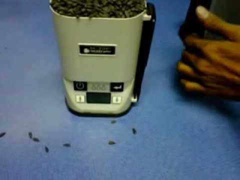 Reed Sensor - CKD SW-T0H ,T2H , T3H ,T3PH Magnetic Reed Sensor ...