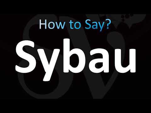 How to Pronounce Sybau (CORRECTLY!)