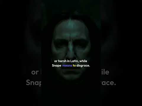 Severus Snape’s MEANING