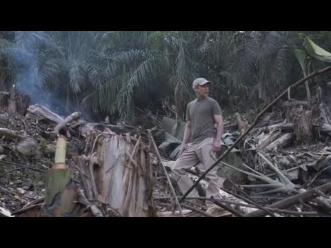 Fisk Johnson: Chairman and CEO of SC Johnson | Sustainability Advocate