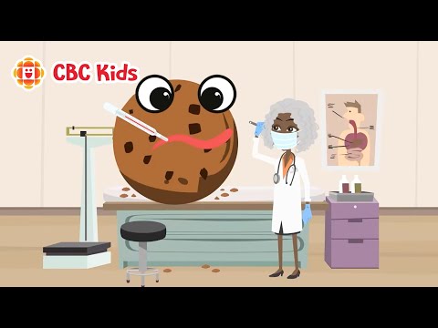 Lunch Box Jokes | CBC Kids