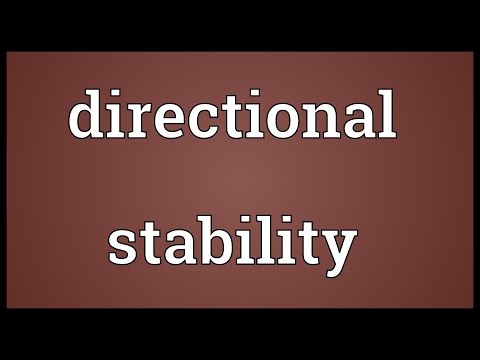 Directional stability Meaning