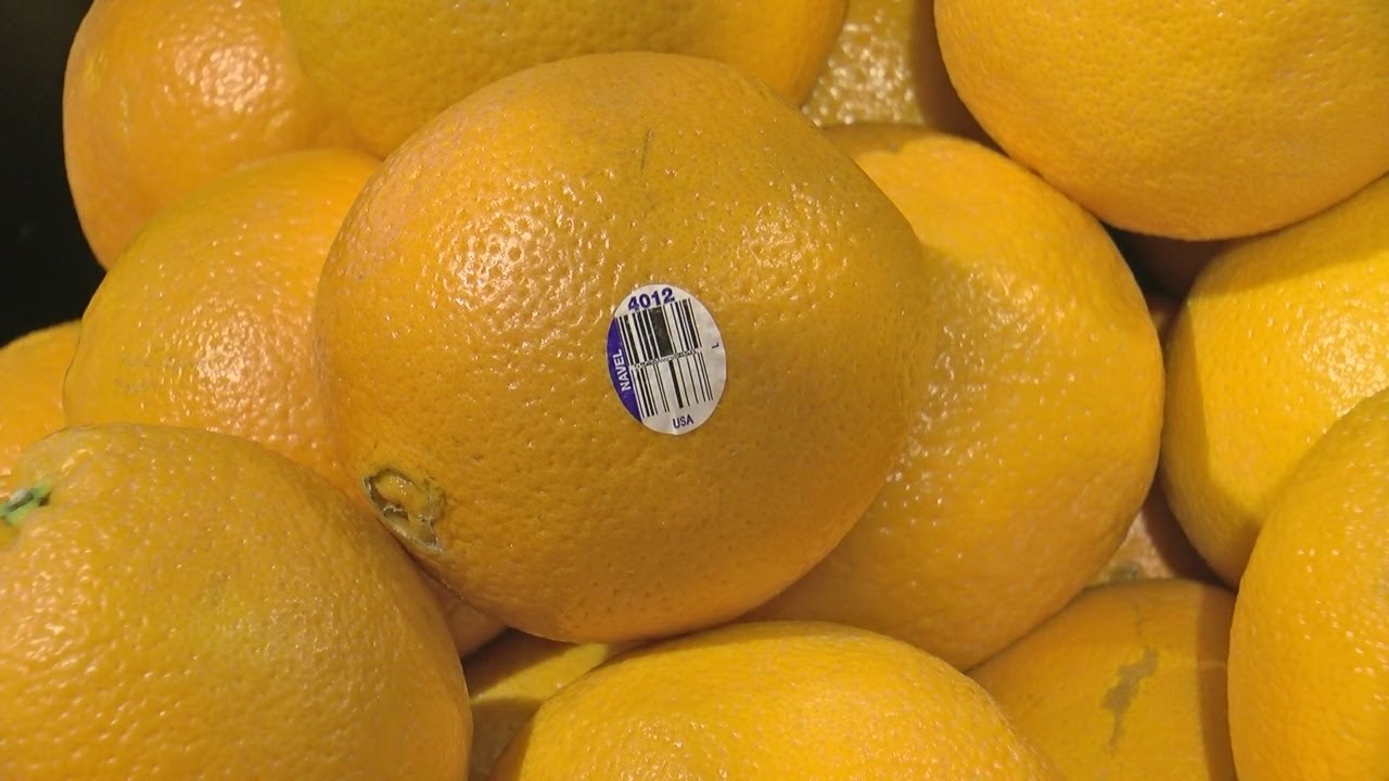 Can Vitamin C Boost Immunity?