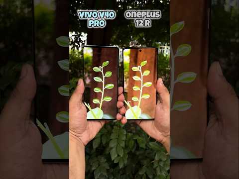 Vivo V40 Pro vs Oneplus 12R Camera Test (5x Zooming) #vivov40pro #oneplus12r #comparison #shotrs