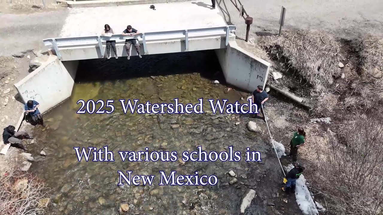 Watershed Watch Spring 2025 Compilation