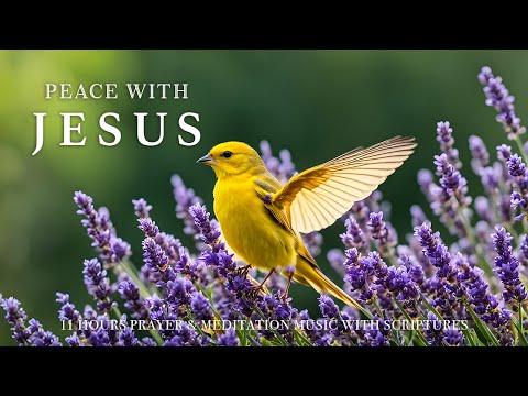 PEACE WITH JESUS | Soothing Worship Piano & Powerful Bible Verses | Christian Harmonies #81