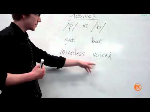 EC San Francisco - 'Plosives' Pronunciation lesson
