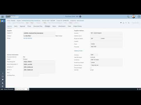 Reporting Audit Control in SAP Business ByDesign DEMO