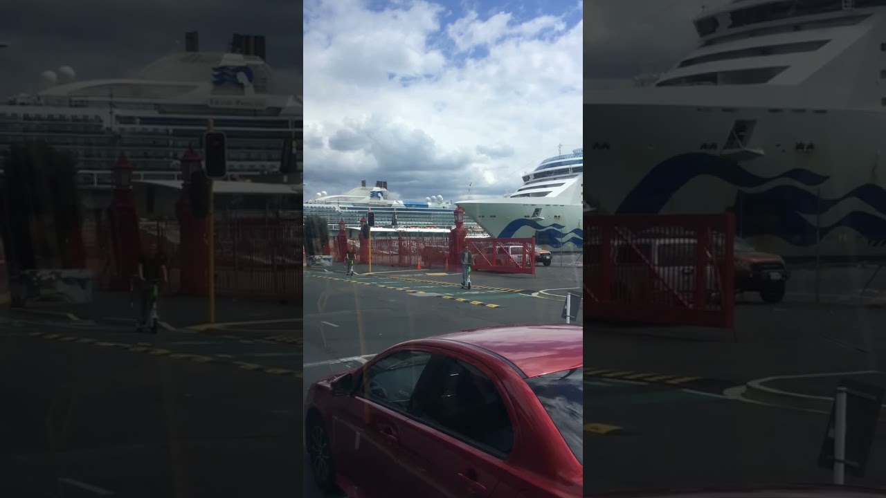 Cruises Ship Terminal Port of Auckland