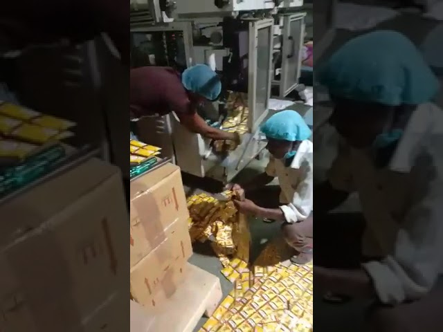 Filling Machine - 40PPM Weigh Filler Machine Manufacturer from Palwal