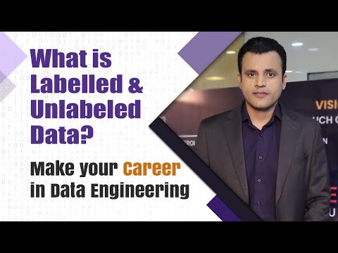What is Labelled & Unlabeled Data? | Data Science Series