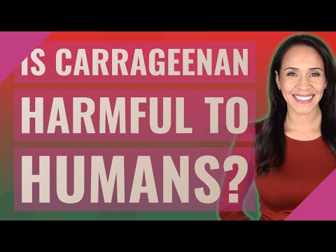 Is carrageenan harmful to humans?