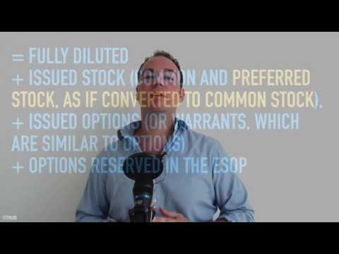The 3 Types of Shares | Issued, Outstanding and Fully Diluted | 50Folds