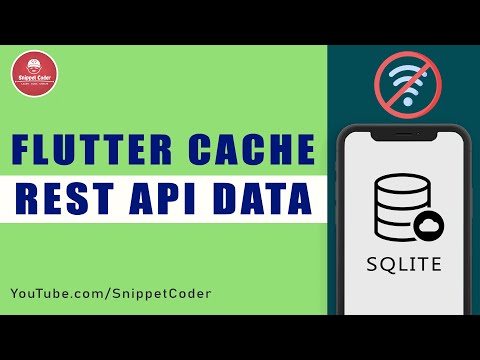 Learn Flutter Offline Rest API Data Sync - Mind Luster
