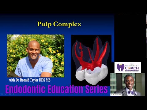 Success with Complex Root Canal Anatomy, Part 1 | Endo Lecture Series GPR Residency DrTaylor
