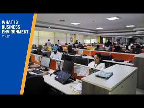 What is Business Environment