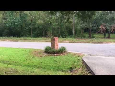 Cajun French lesson on the things we see all around us