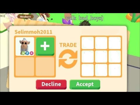 5 Good Trades 😃♥️ For Neon Albino Monkey🙈🙈 Which One Should I Accept!! | Adopt me Roblox