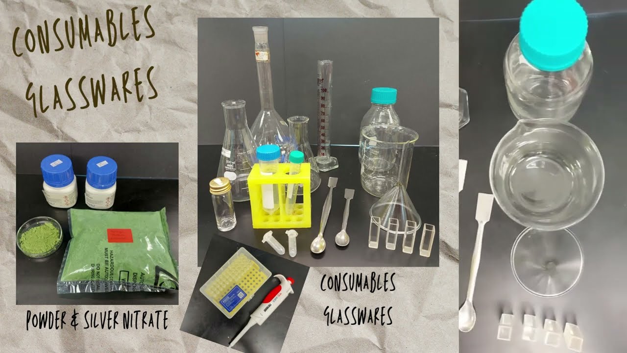 How to synthesize silver nanoparticles using Moringa oleifera leaf extract
