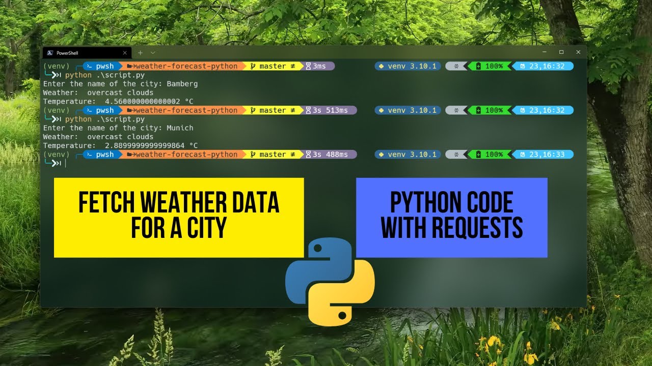 Fetch Weather Data in Python using requests