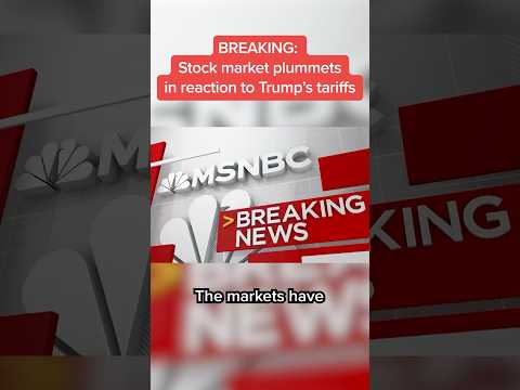 Stock market plummets in reaction to Trump's tariffs