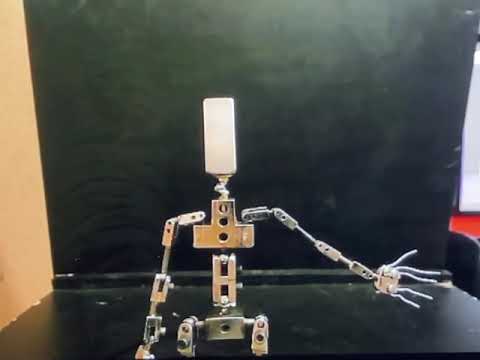 stopmoani – Phoebe Yeonsu Lee