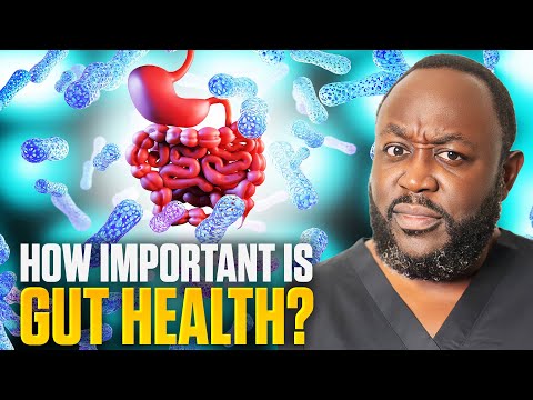 Is Gut Health Really That Important