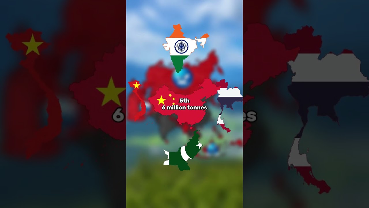 i mean google is dumb it says vietnam exports more than thailand but it says vietnamexportslesstonne