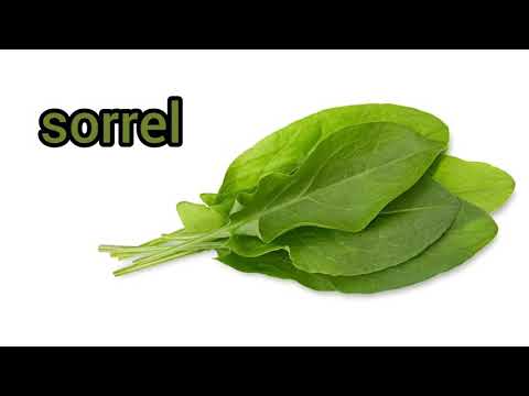 How to Pronounce Sorrel in British English