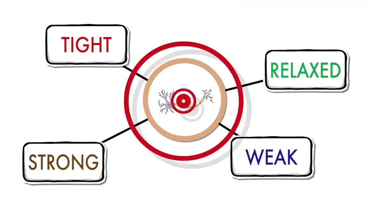 Retrain Your Nervous System. Regain Your Life. Neubie’s Advanced e-Stim ...