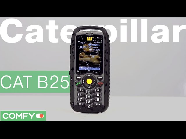 Мобильный телефон Caterpillar CAT B25 купить по низкой цене в Киеве ...