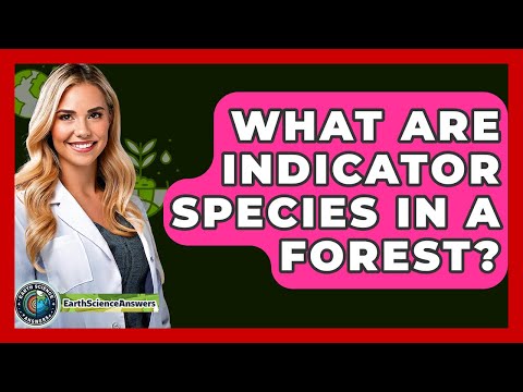What Are Indicator Species In A Forest? - Earth Science Answers