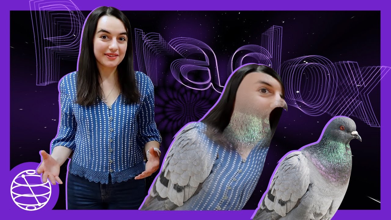 Counting Pigeons with a Quantum Computer (Without Breaking Math) | Quantum Paradox